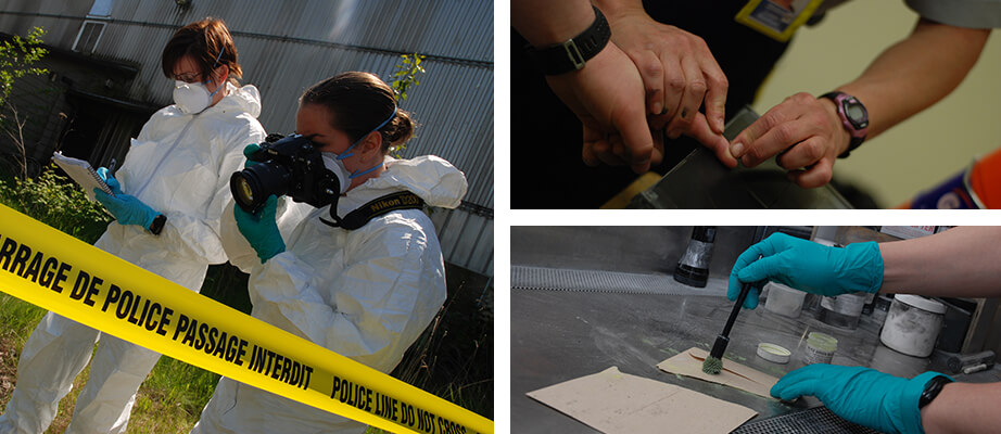 Forensic identification